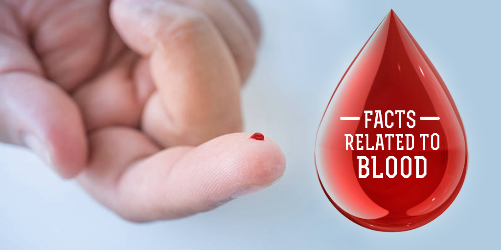 Facts about Blood – Learner School Blog